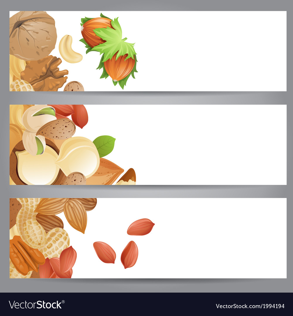 Nuts background Royalty Free Vector Image - VectorStock