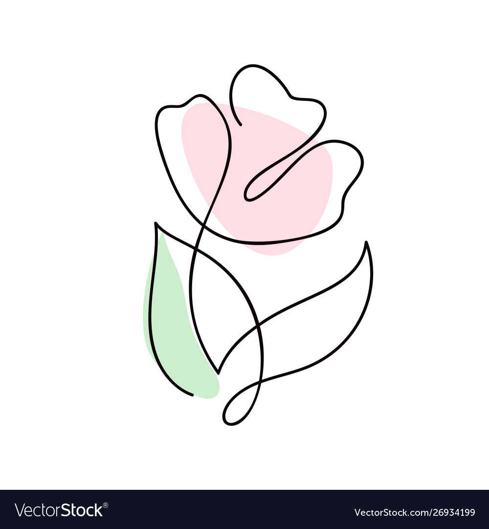 Continuous line hand drawing calligraphic Vector Image