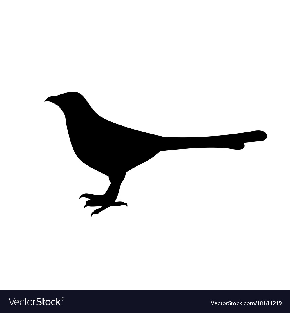 Crow Royalty Free Vector Image - VectorStock