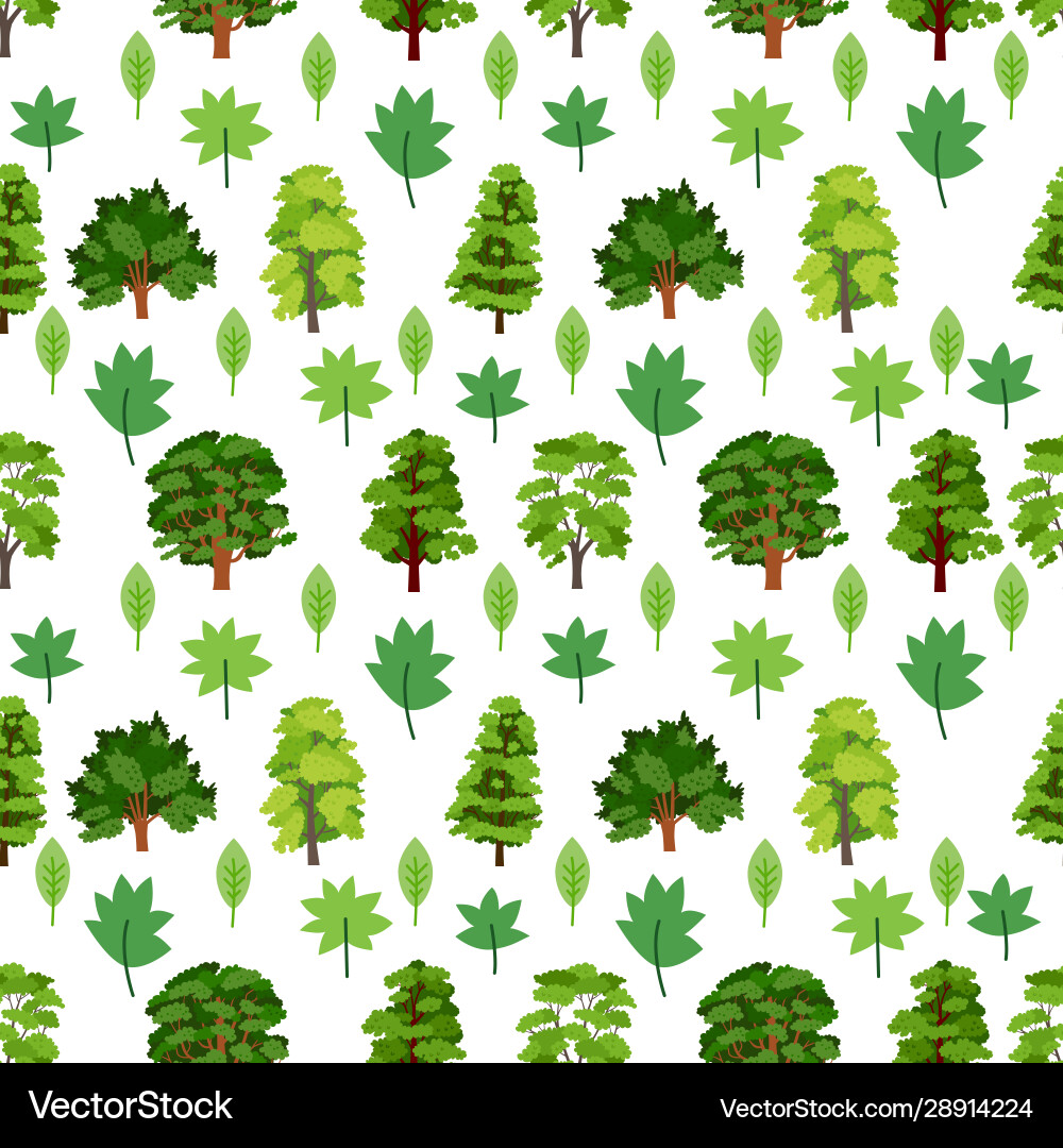 Autumn forest trees pattern a woodland background Vector Image
