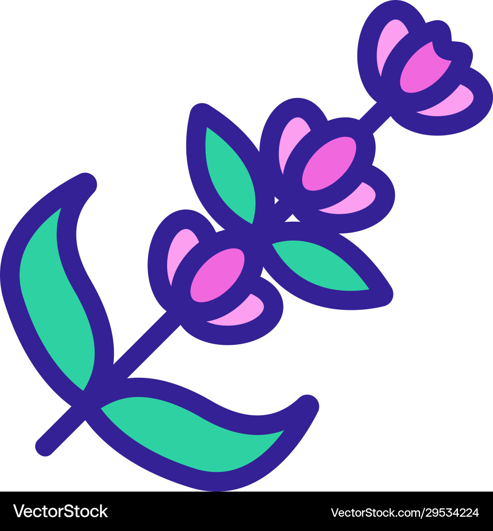 Lavender flower icon isolated contour Royalty Free Vector