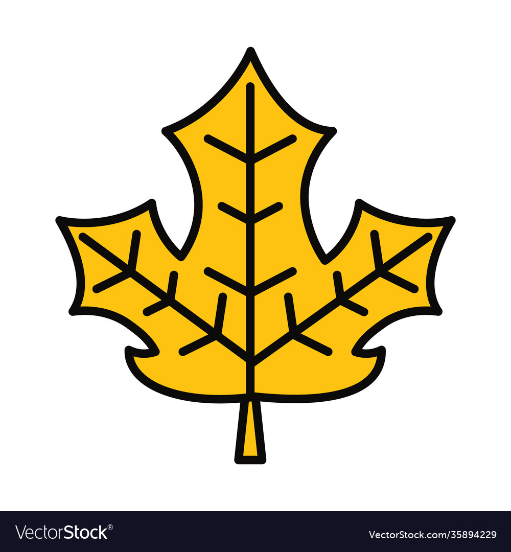 Maple leaf icon line and fill style Royalty Free Vector