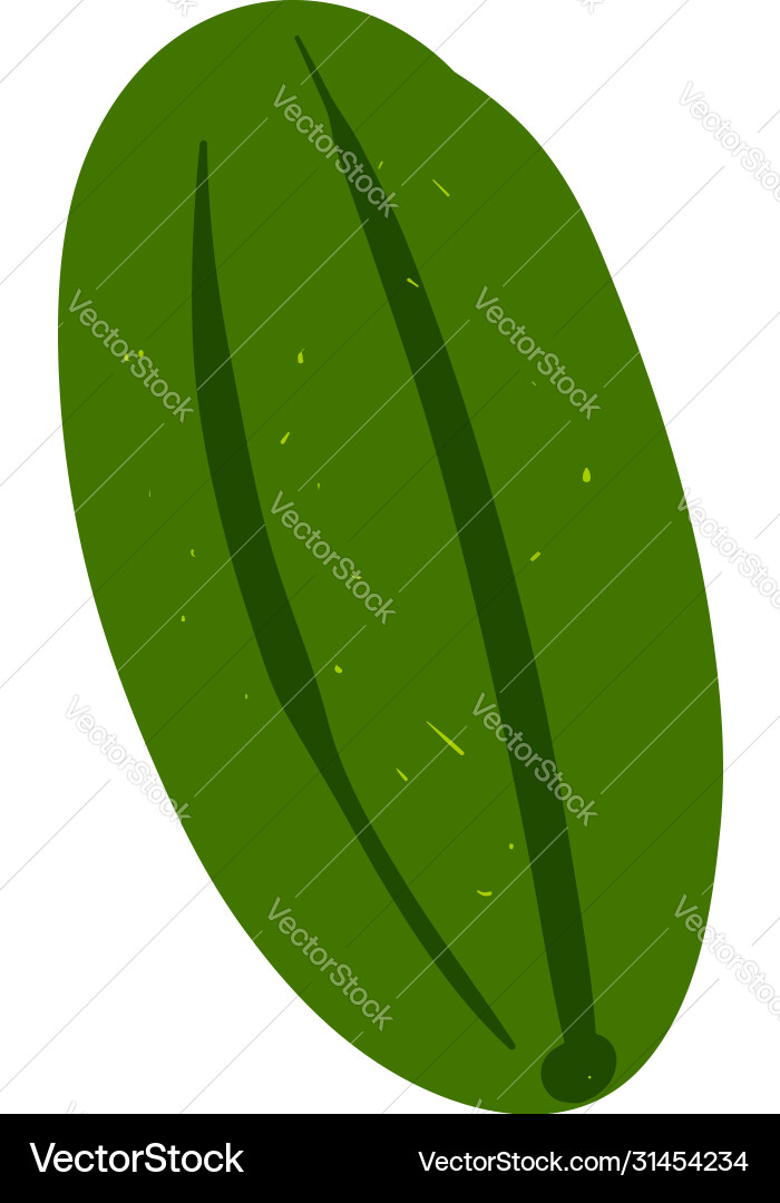 Cucumber flat on white background Royalty Free Vector Image