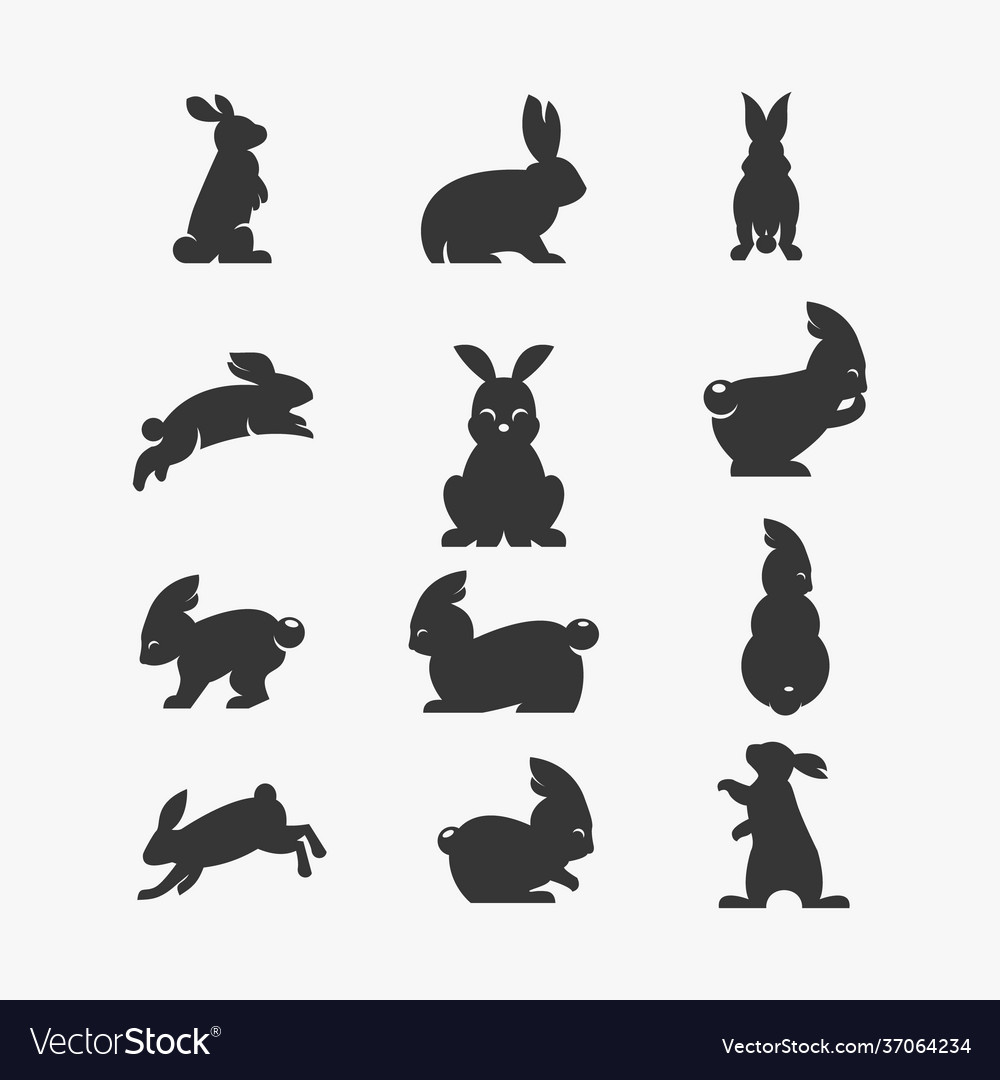 Rabbit bundle Royalty Free Vector Image - VectorStock