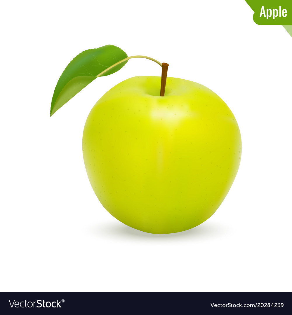 Apple Royalty Free Vector Image - VectorStock