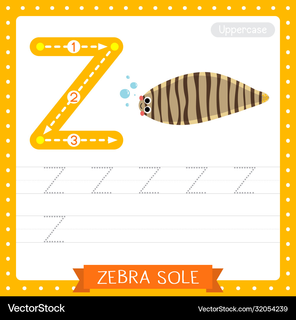 Letter z uppercase tracing practice worksheet Vector Image