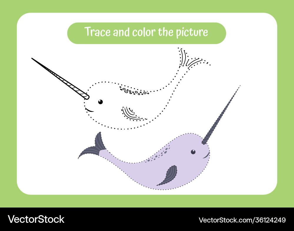 Narwhal trace and color picture educational Vector Image