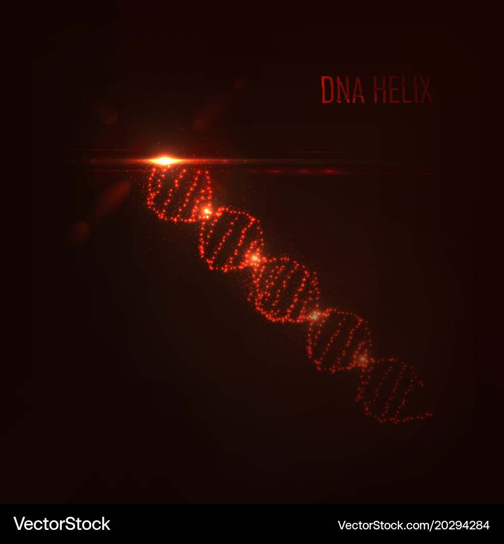 Dna shape of glowing circles and particles Vector Image