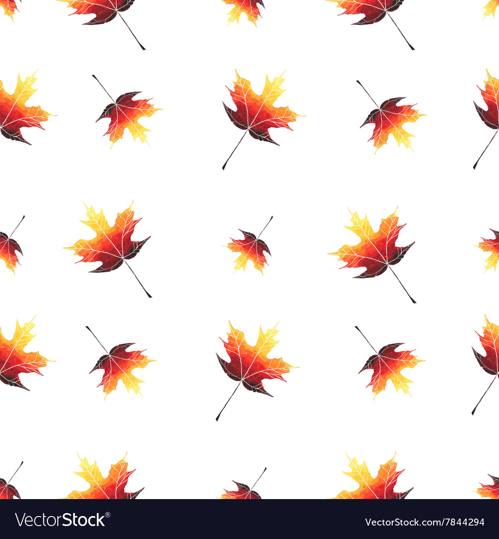 Maple leaf Royalty Free Vector Image - VectorStock