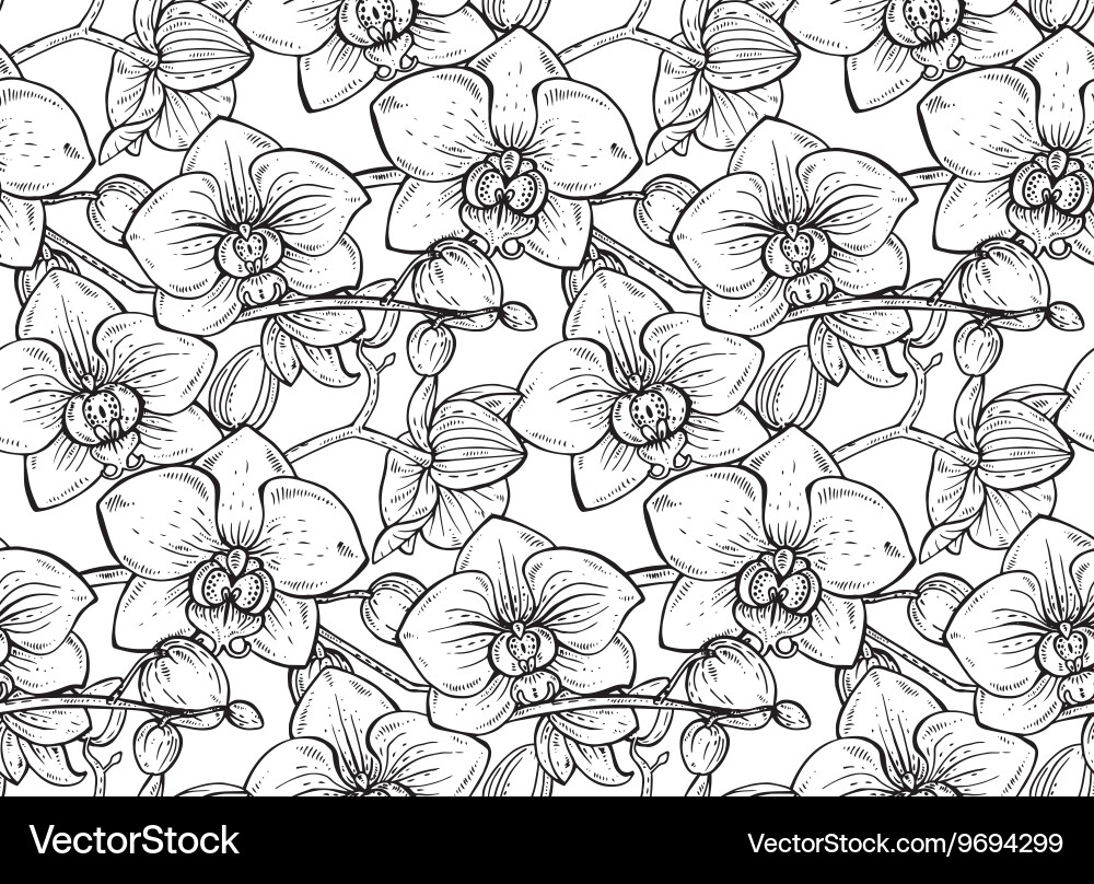 Floral seamless pattern with hand drawn orchid Vector Image