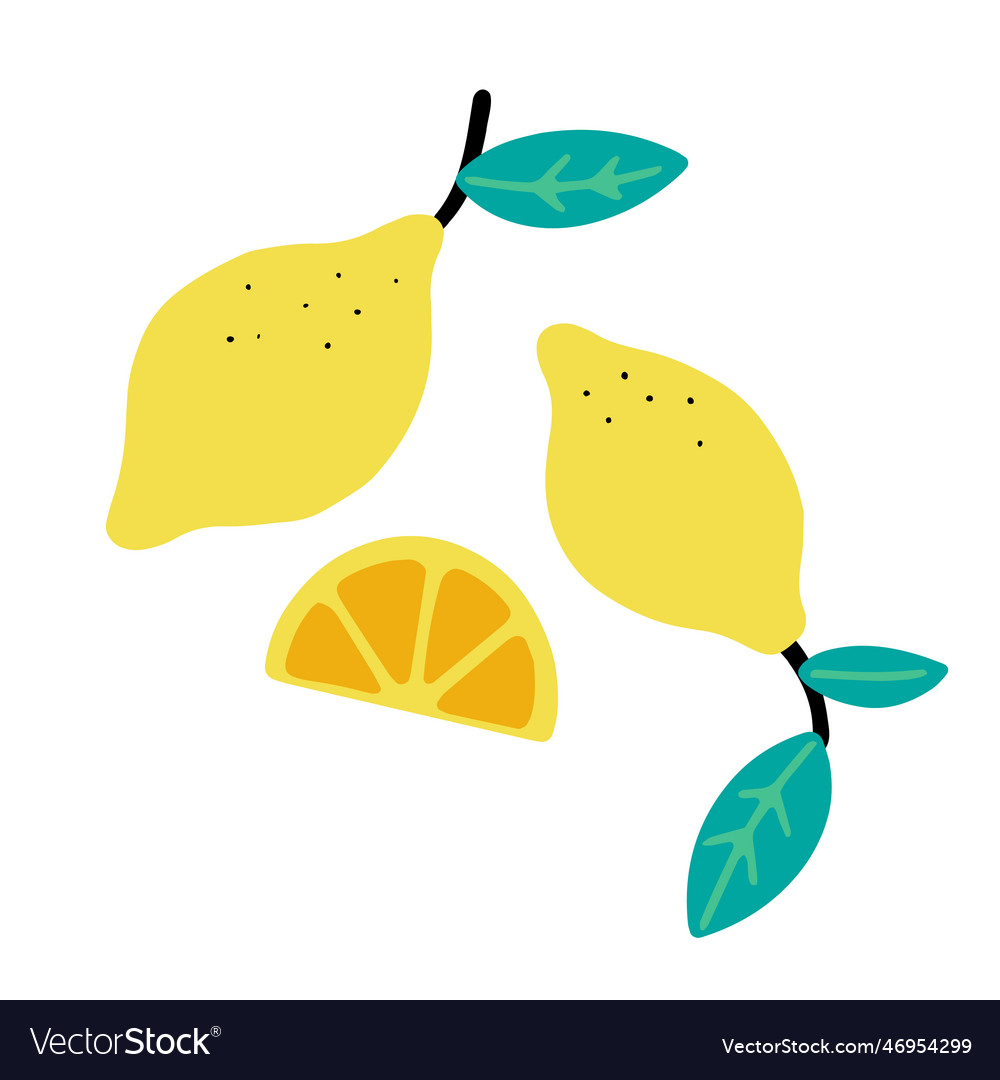 Lemons isolated on white background flat cartoon Vector Image