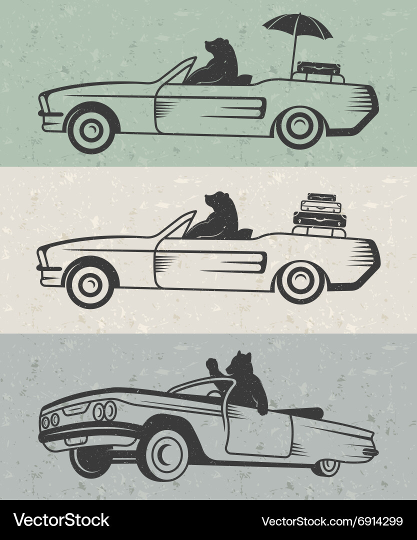 Vintage bear Royalty Free Vector Image - VectorStock