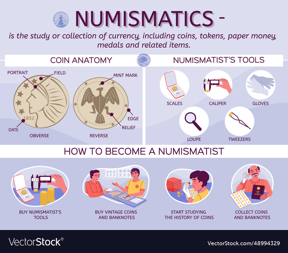 Coin numismatics flat infographics Royalty Free Vector Image