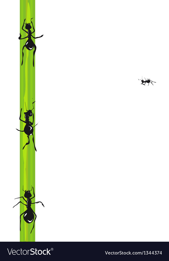 Ants Royalty Free Vector Image - VectorStock