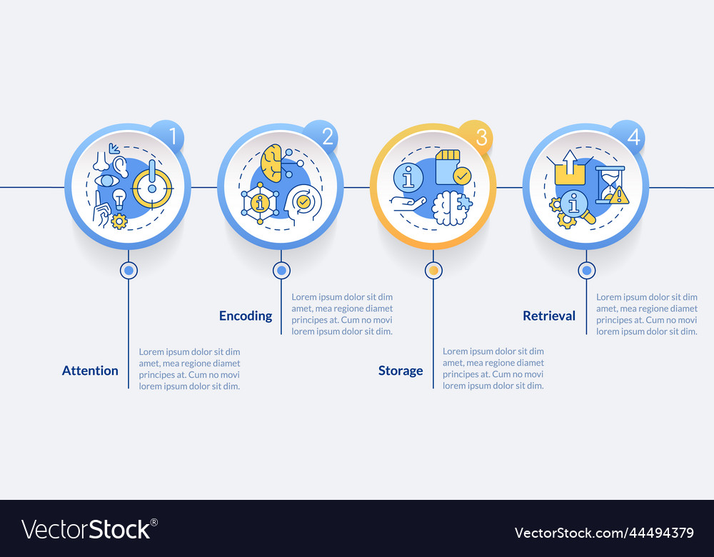 Memorizing information stages circle infographic Vector Image Memorizing information stages circle infographic Vector Image