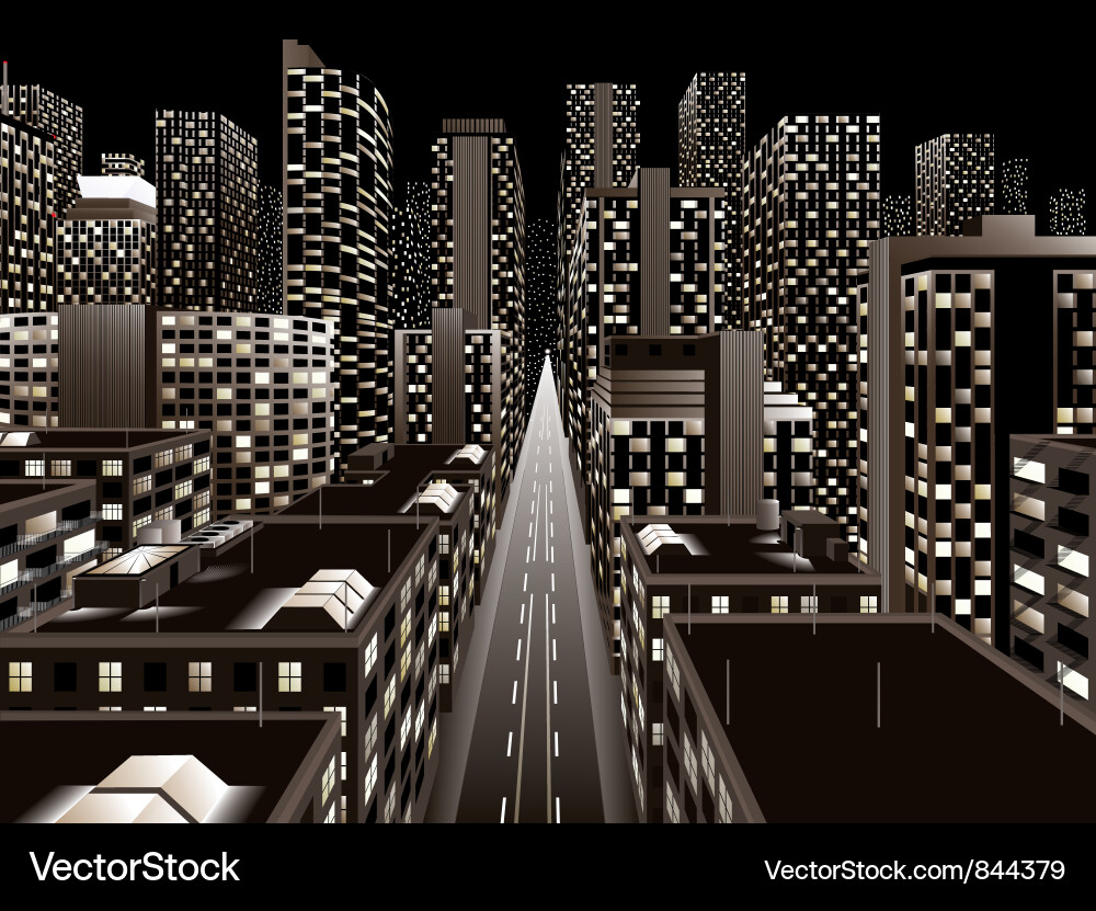 Night city Royalty Free Vector Image - VectorStock