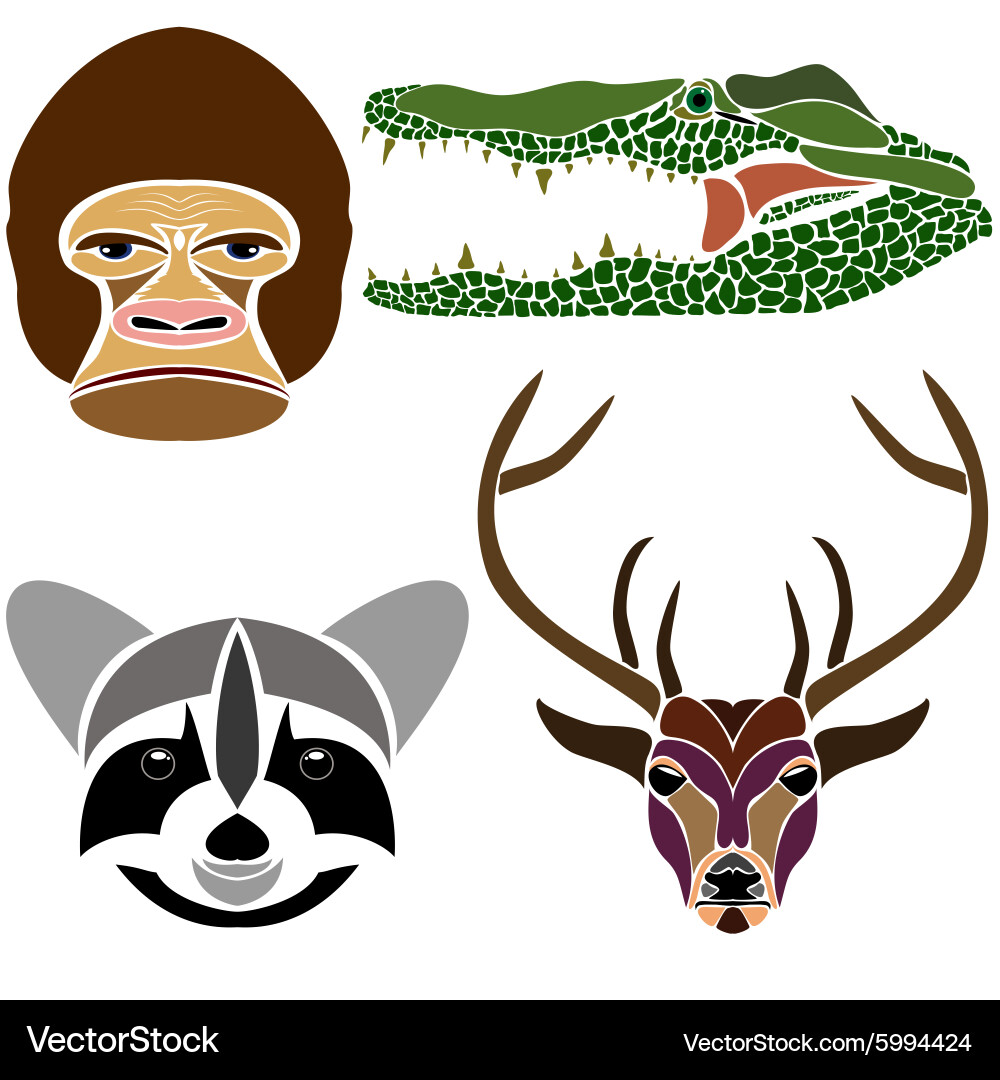 Wild animals Royalty Free Vector Image - VectorStock
