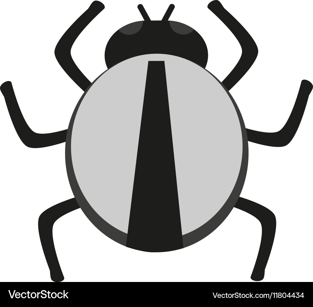 Isolated bug design Royalty Free Vector Image - VectorStock