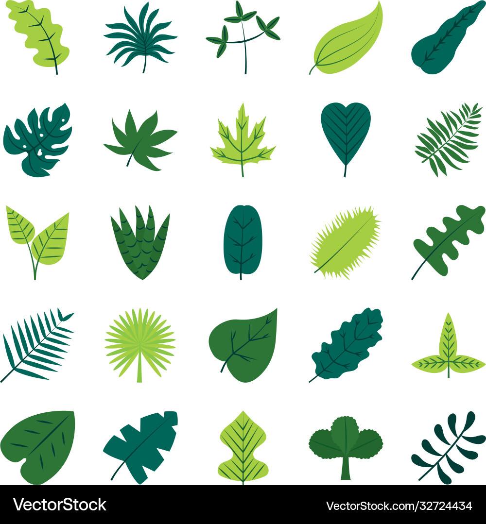 Tropical leaves flat style icon set design Vector Image