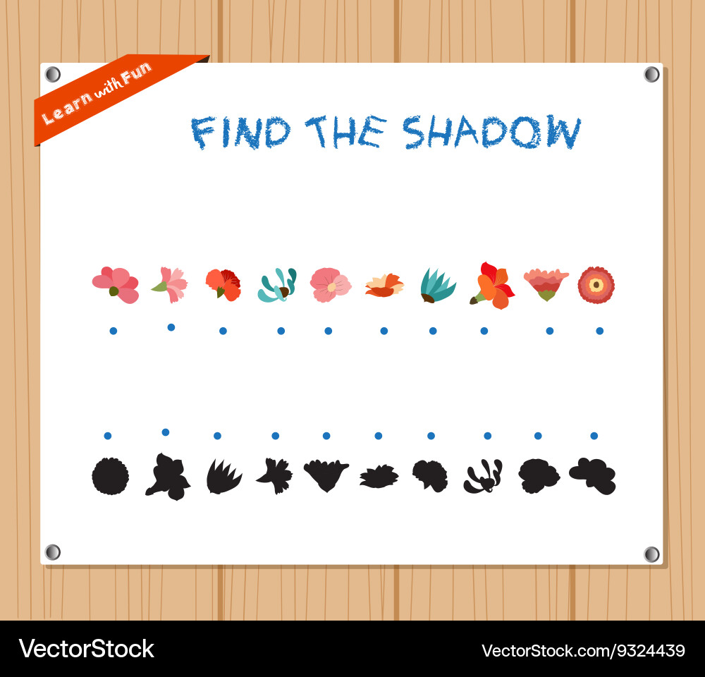 Find shadow educational activity task Royalty Free Vector