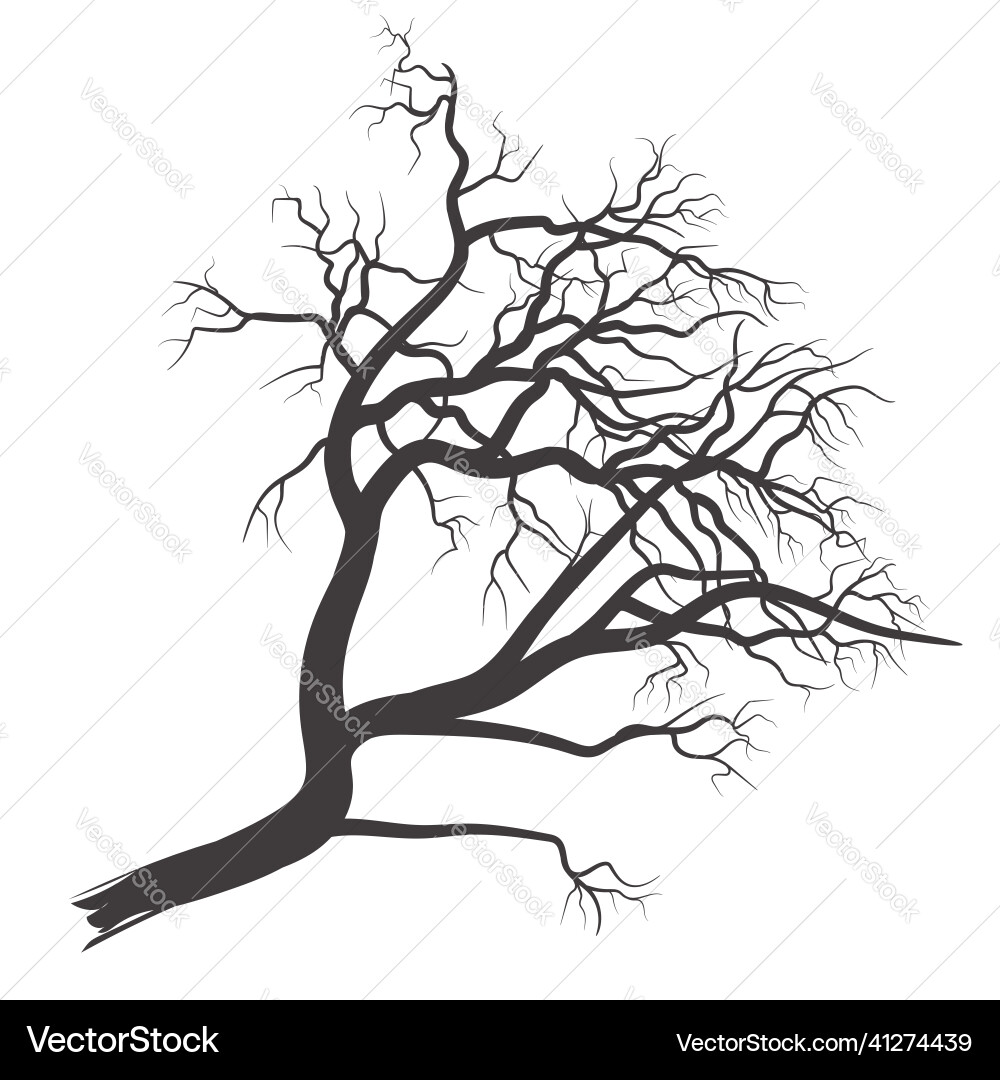 Hand drawn dead branch tree silhouette Royalty Free Vector