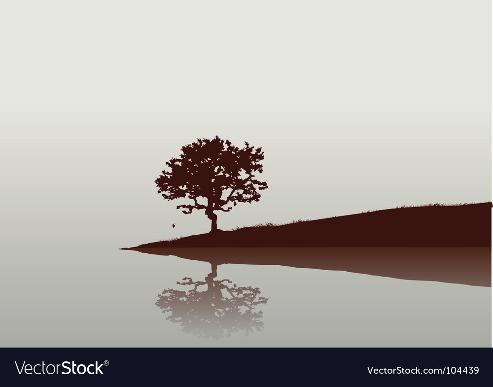 Reflections Royalty Free Vector Image - VectorStock