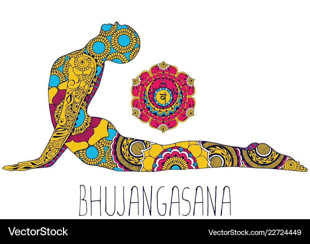 Bhujangasana or cobra pose Royalty Free Vector Image