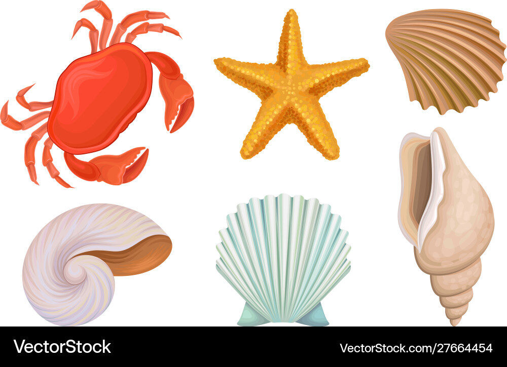 Different bright tropical shells and corals Vector Image