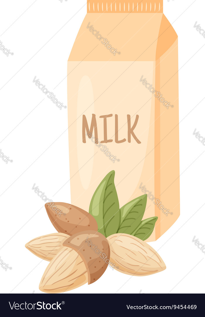 Almond Milk Royalty Free Vector Image Vectorstock