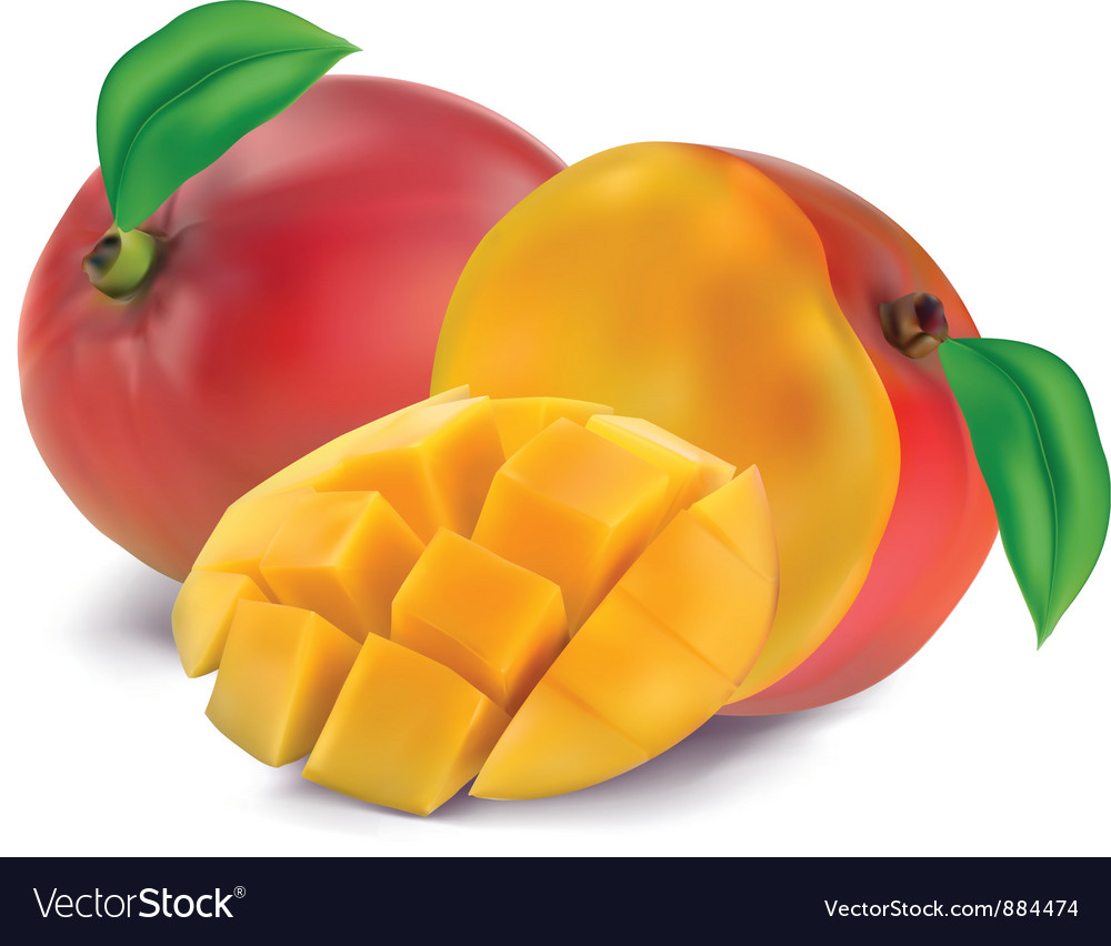 Mango Royalty Free Vector Image - VectorStock