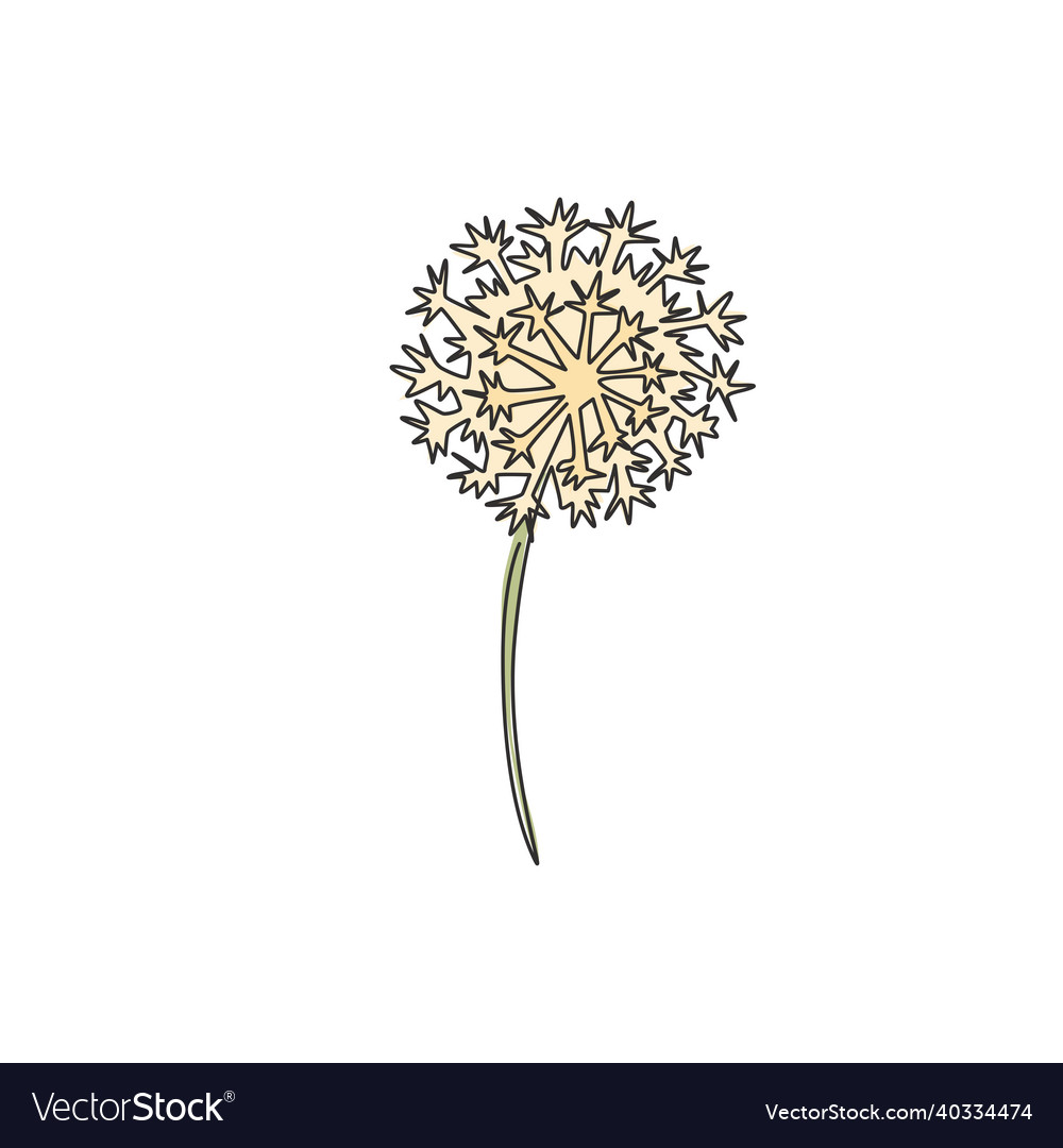 Single Continuous Line Drawing Beauty Fresh Vector Image