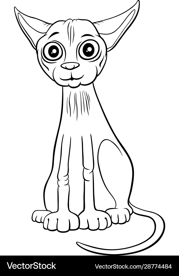 Sphynx cat cartoon character coloring book page Vector Image
