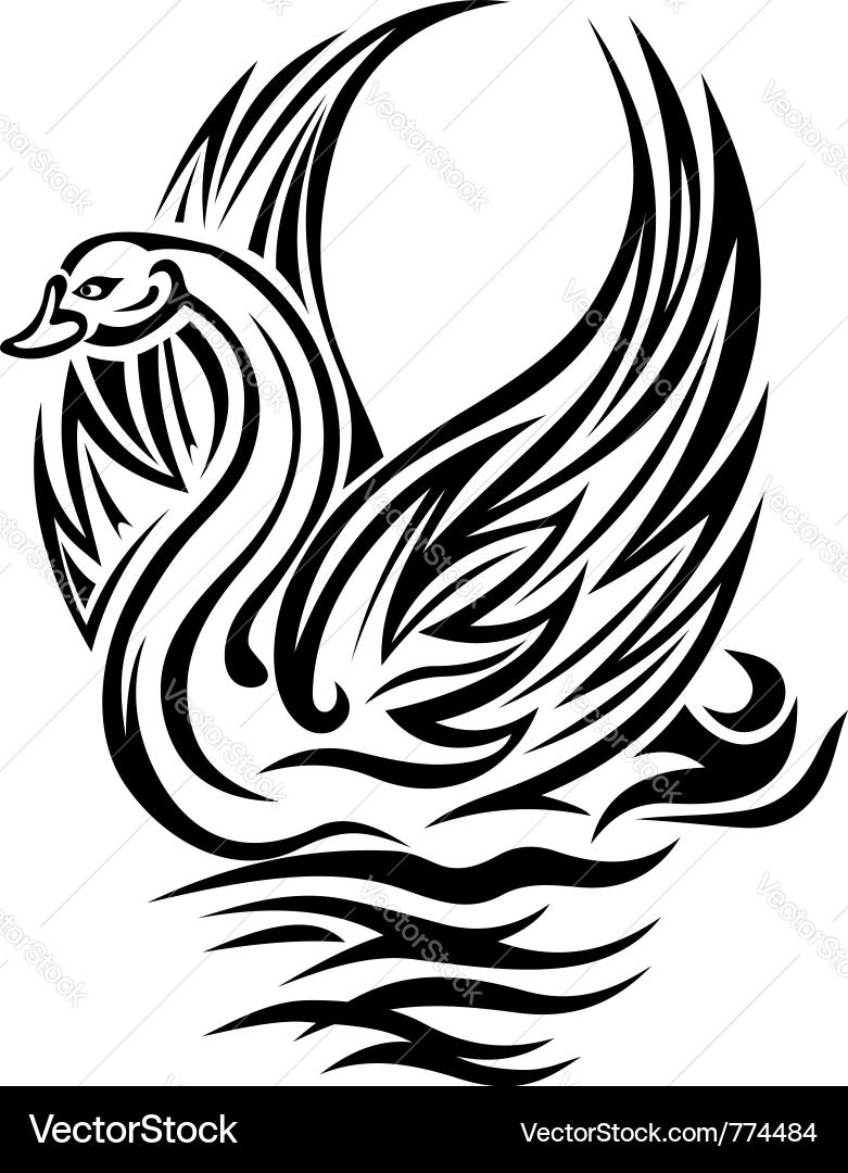 Swan bird Royalty Free Vector Image - VectorStock
