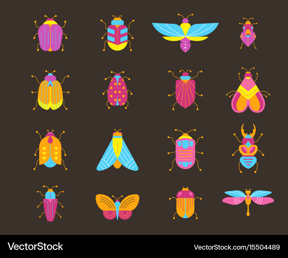 Bugs insects butterfly ladybug set Royalty Free Vector Image
