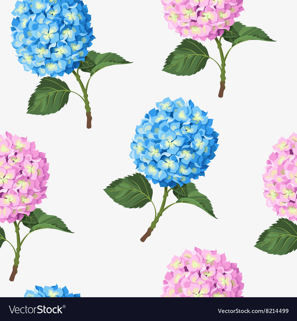 Hydrangea flower seamless Royalty Free Vector Image