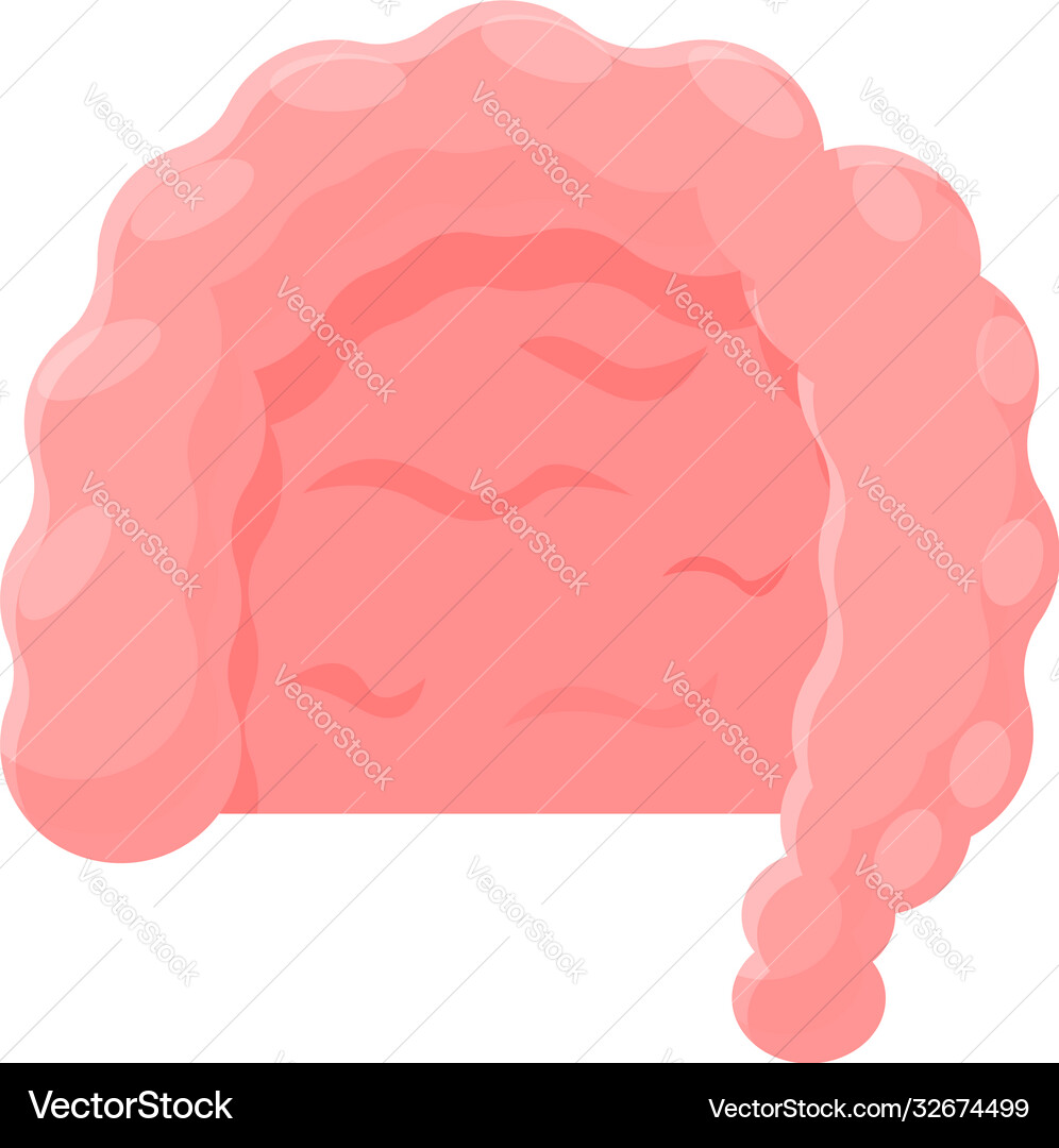 Intestine icon cartoon style Royalty Free Vector Image