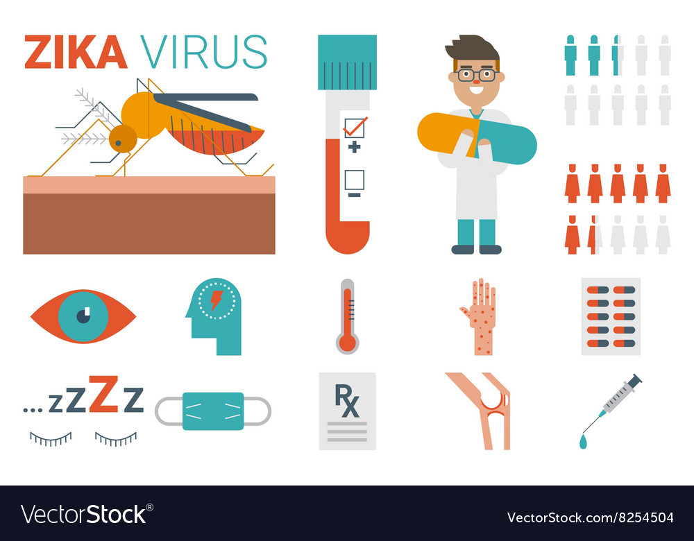 Zika Virus Concept Royalty Free Vector Image Vectorstock
