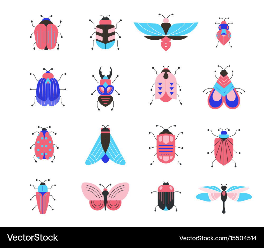 Bugs insects butterfly ladybug set Royalty Free Vector Image