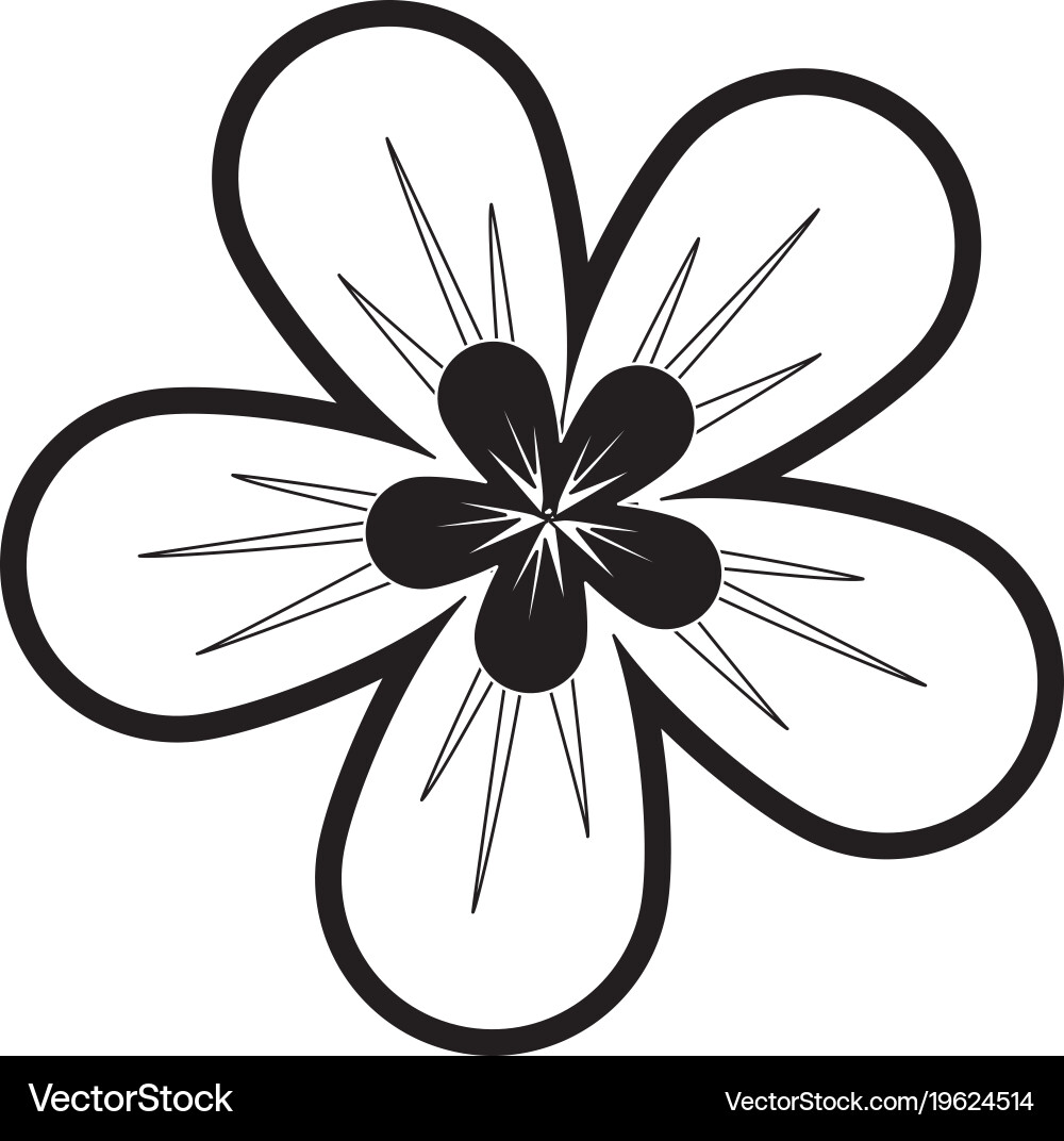Five Petal Flower Drawing | Best Flower Site
