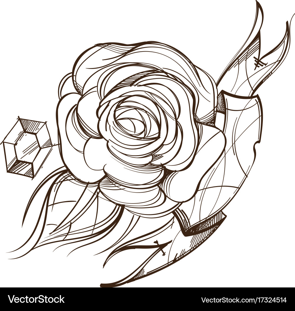 Hand drawn rose floral design element outline Vector Image