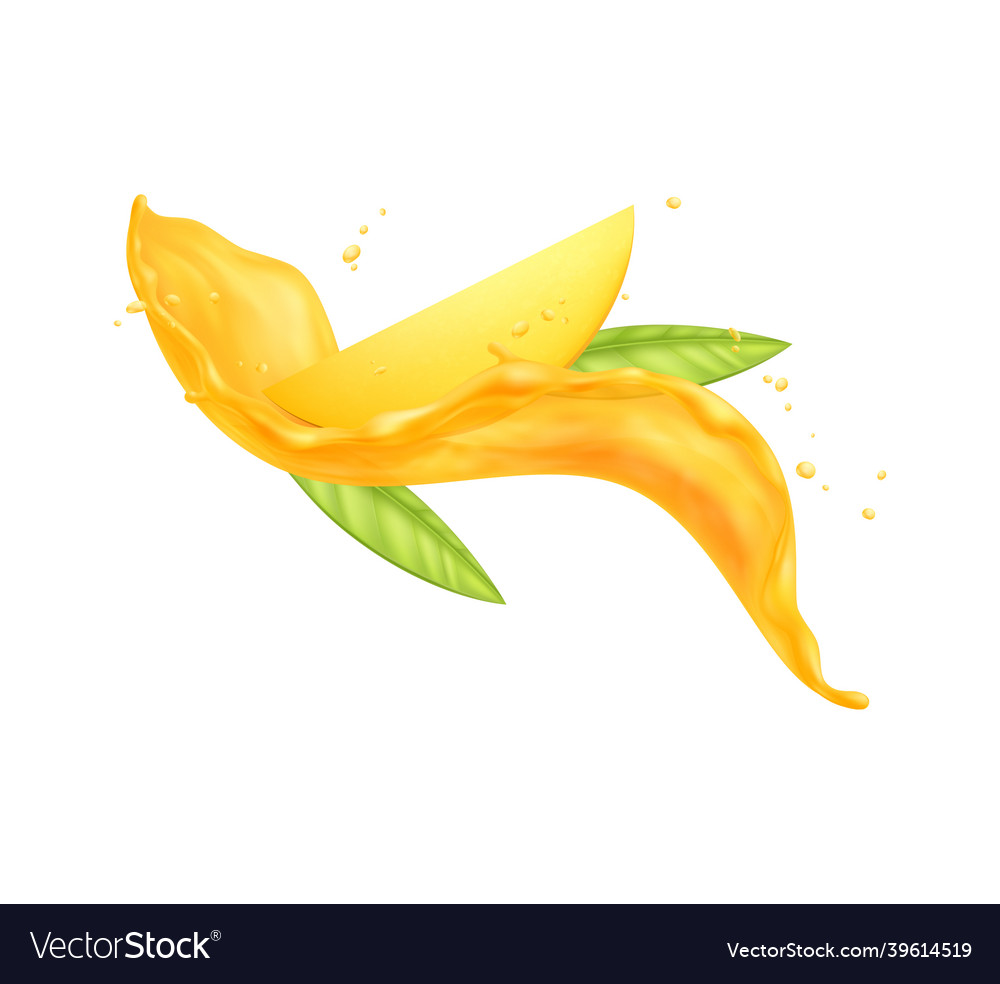 Mango slice Royalty Free Vector Image - VectorStock