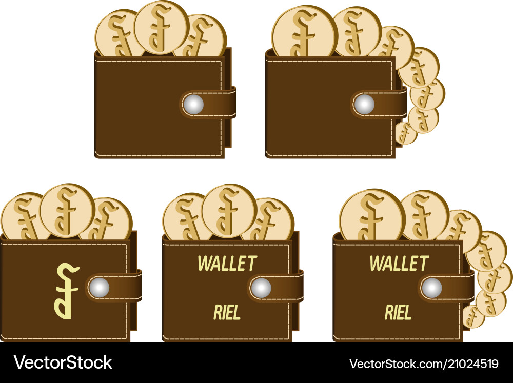 Set of brown wallets with riel coins Royalty Free Vector