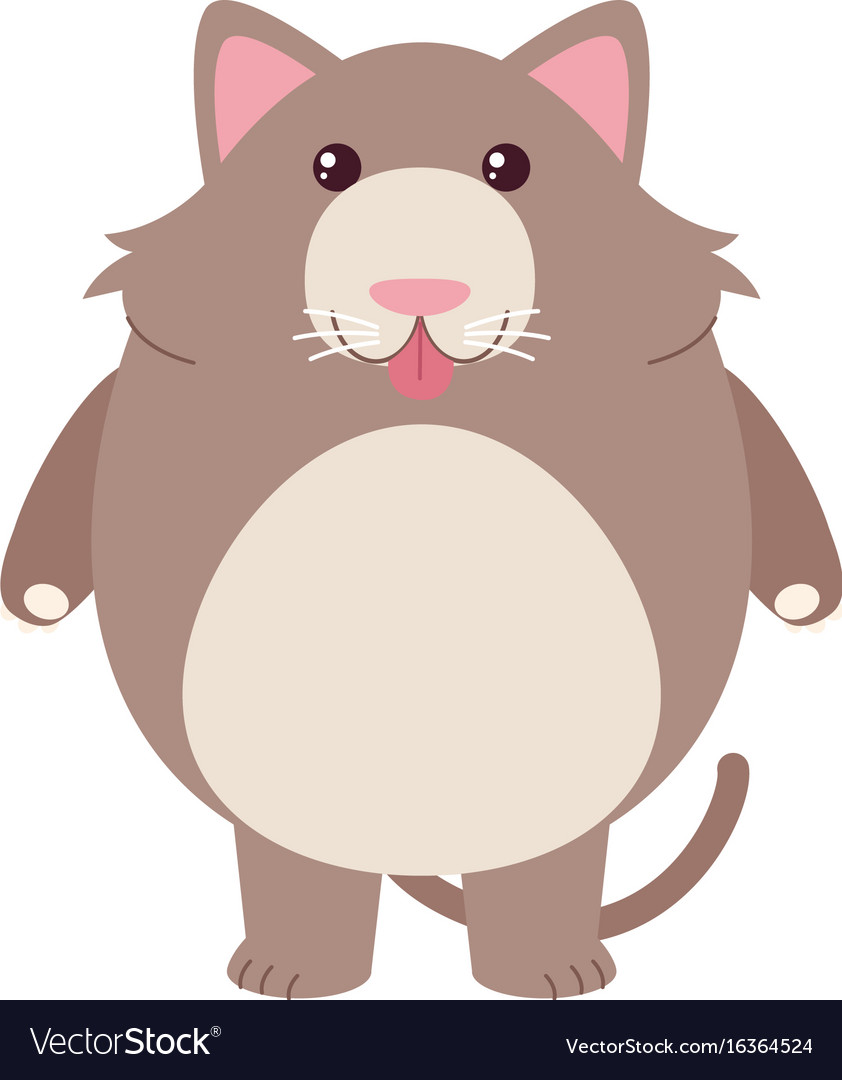 Gray cat on white background Royalty Free Vector Image