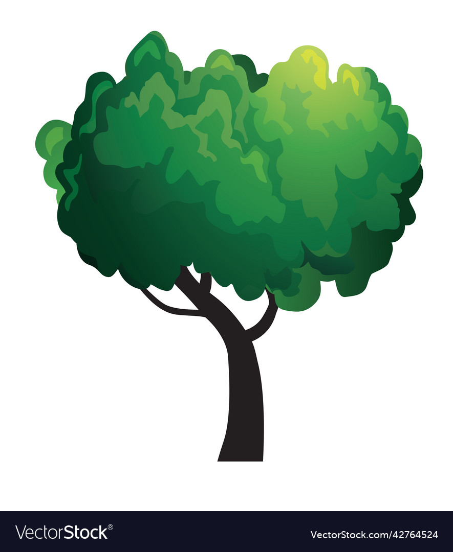 Green spring tree Royalty Free Vector Image - VectorStock