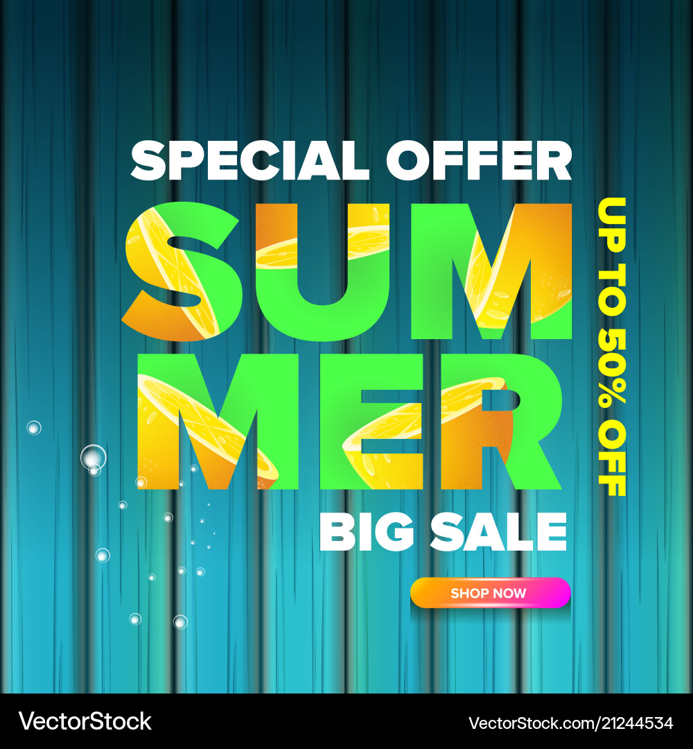 Summer sale modern color design template web Vector Image