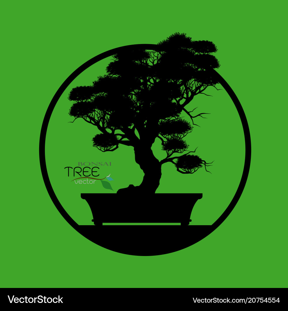 Bonsai tree Royalty Free Vector Image - VectorStock