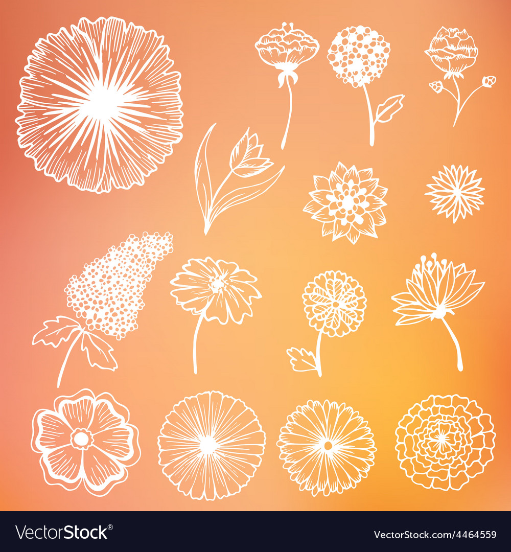 Stylish beautiful flower set on blurred Royalty Free Vector Stylish beautiful flower set on blurred Royalty Free Vector