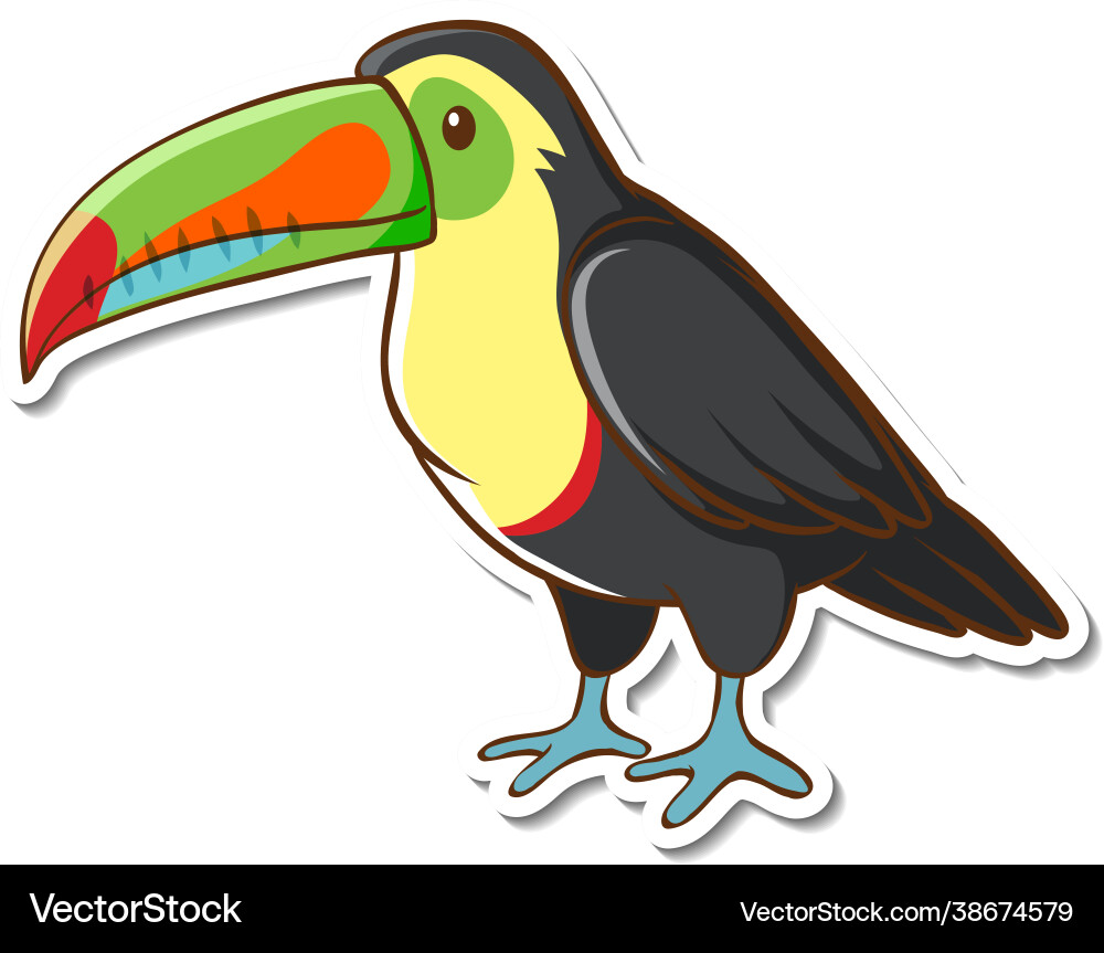Sticker design with cute toucan bird isolated Vector Image