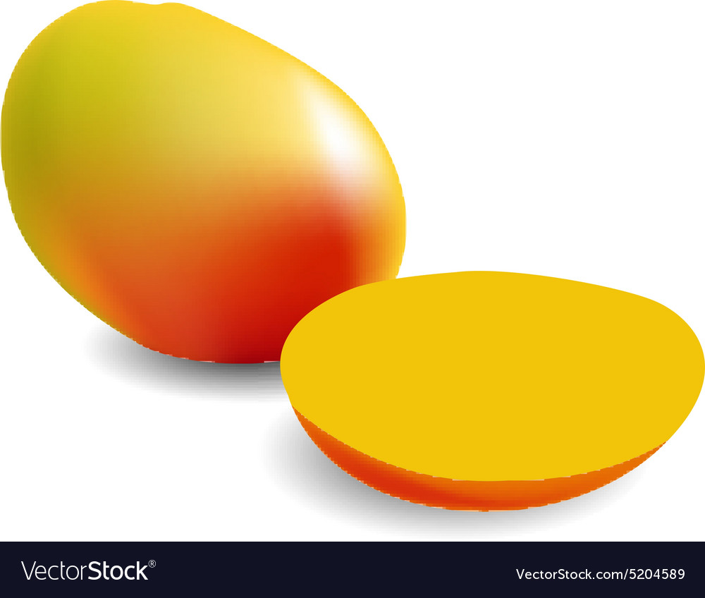 Mango Royalty Free Vector Image - VectorStock