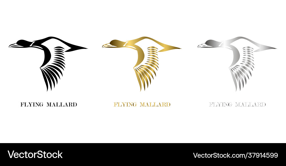 Line art logo mallard that is flying three Vector Image